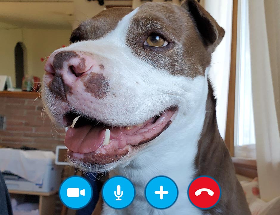 Virtual Training: Remote and Distance Sessions Now Available! - Power ...